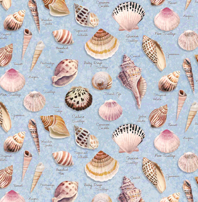 Clothworks - Seashell Wishes - Shells - 1/2 YARD CUT – Dreaming of the ...