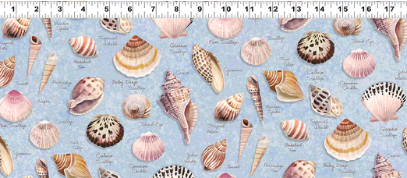 Clothworks - Seashell Wishes - Shells - 1/2 YARD CUT – Dreaming of the ...